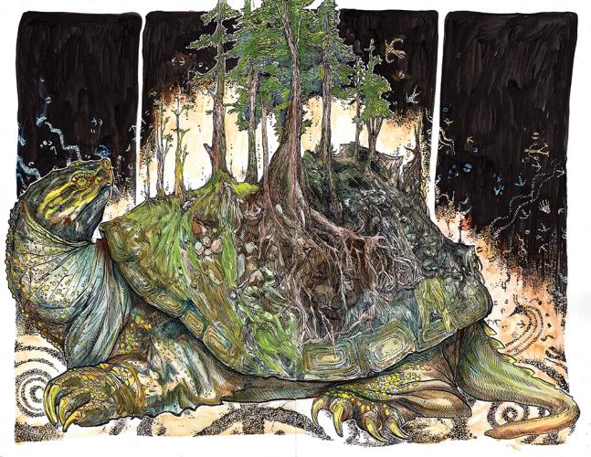 Great Turtle's Shell | NMAI Magazine