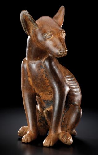 Mexico’s Legendary Xoloitzcuintli, the Hairless Dog | NMAI Magazine