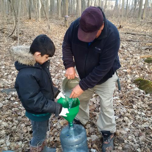The Indigenous Origins of Maple Syrup | NMAI Magazine
