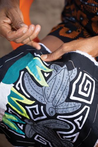 Saving a Sacred Turtle: A Guna Community Strives to Keep the World’s ...