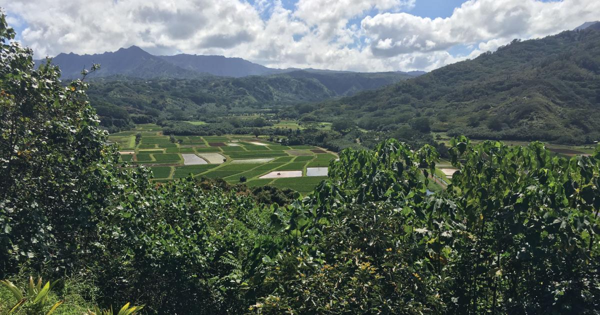 The Breath of Life: Traditional Hawaiian Farmers are Reviving "Aloha ...