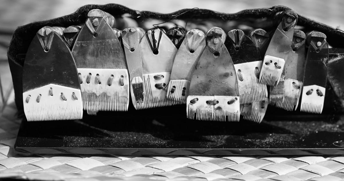 Tapping Into Ancestral Wisdom: Reviving the Nearly Lost Art of Native ...